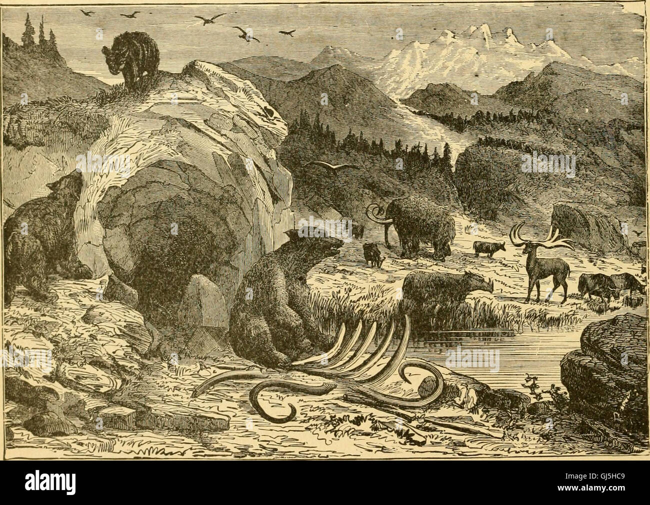 Ridpath's History of the World (1897) provides an account of human ...