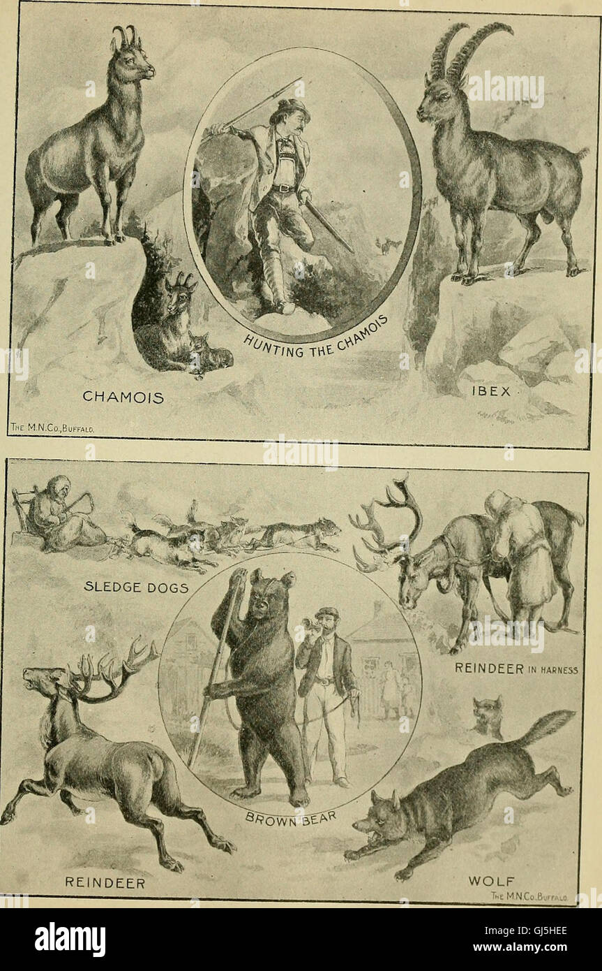 A 1902 comprehensive geography book, offering detailed descriptions of ...