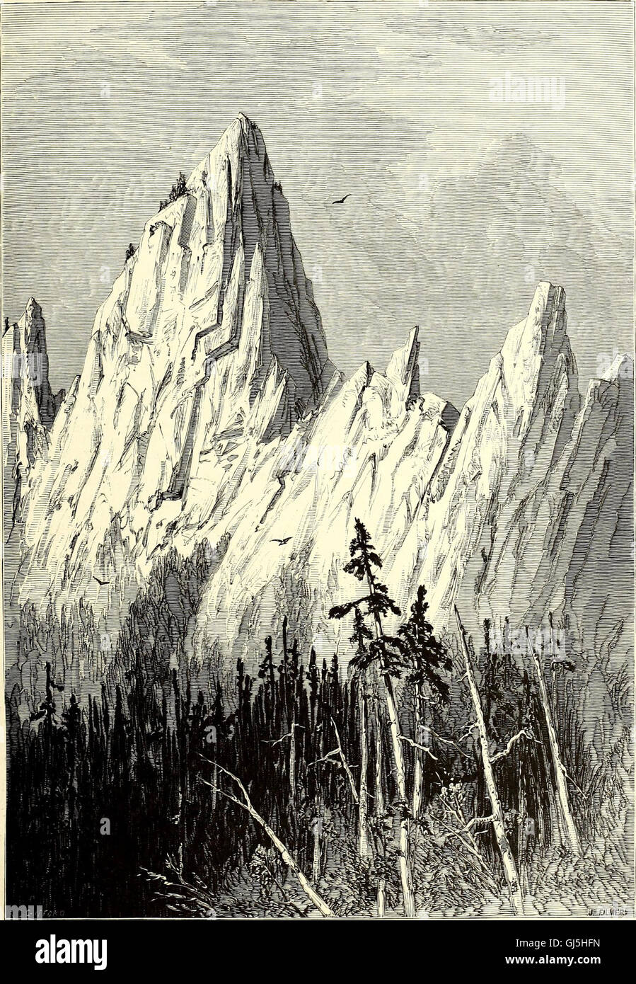 This work offers a visual and descriptive exploration of America’s ...
