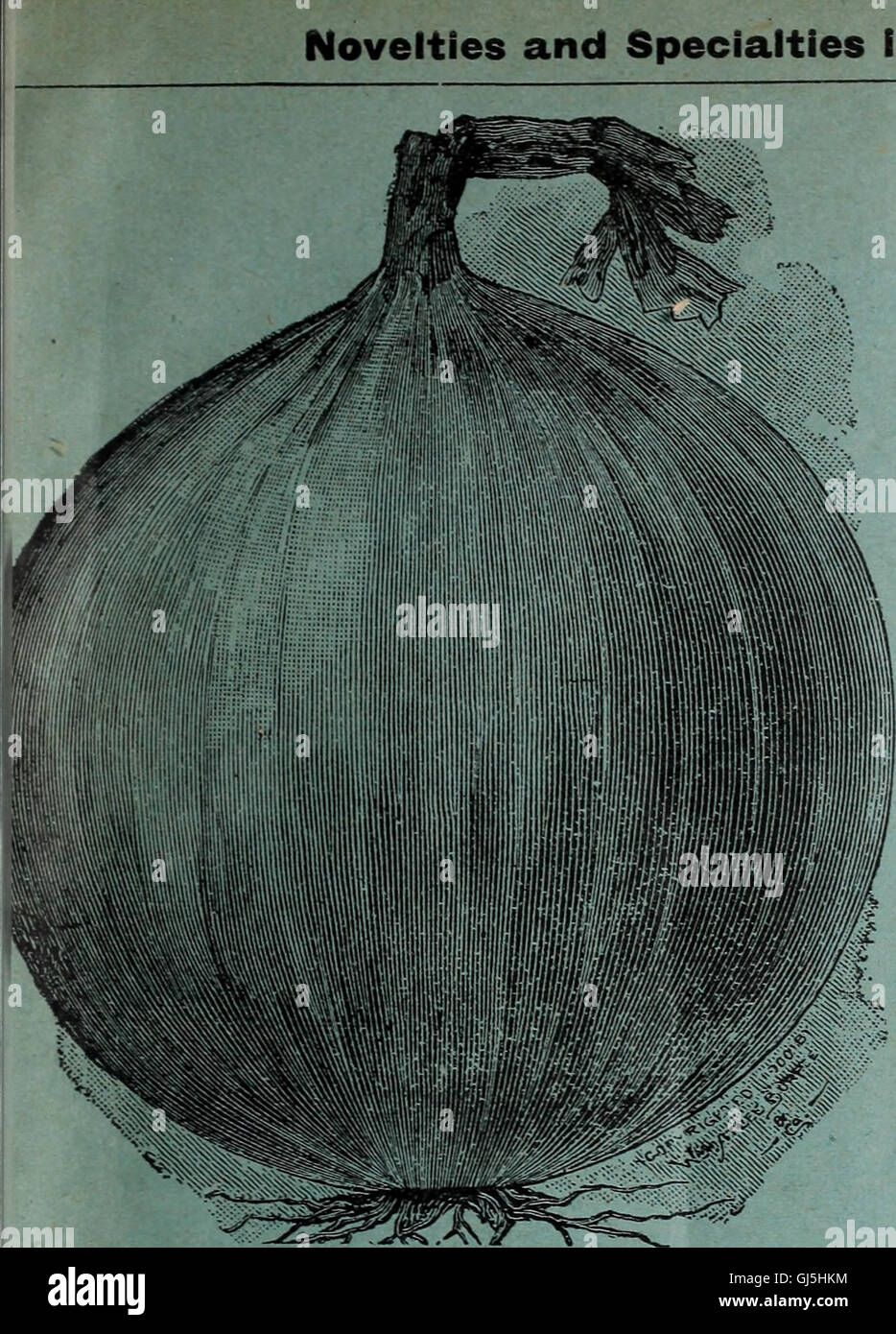 Simmers' 1902 seed catalogue offers a comprehensive selection of seeds ...