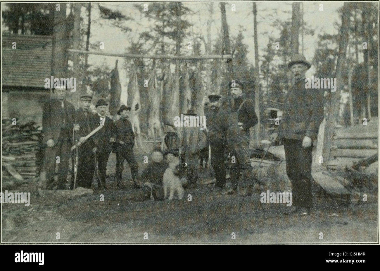 Rod and gun (1898 Stock Photo - Alamy