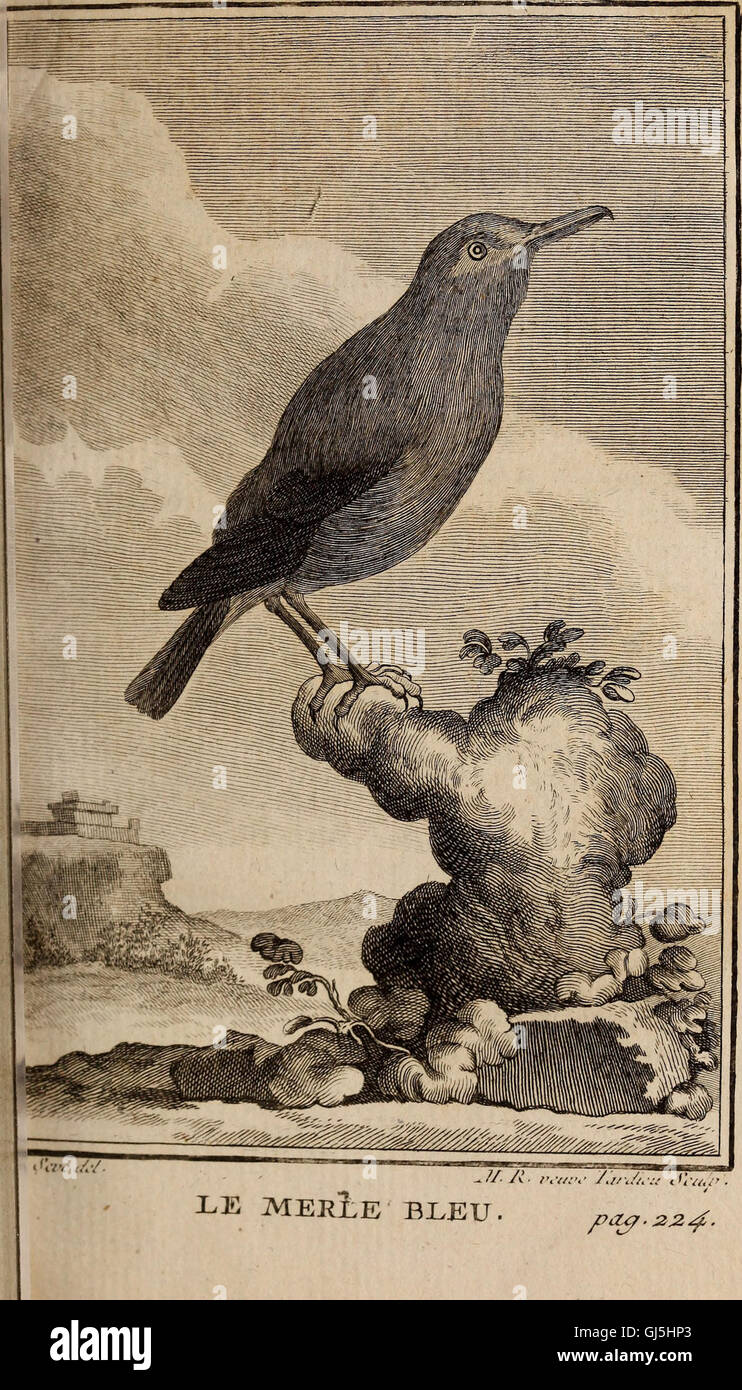 This 1775 work provides a natural history of birds, detailing their ...