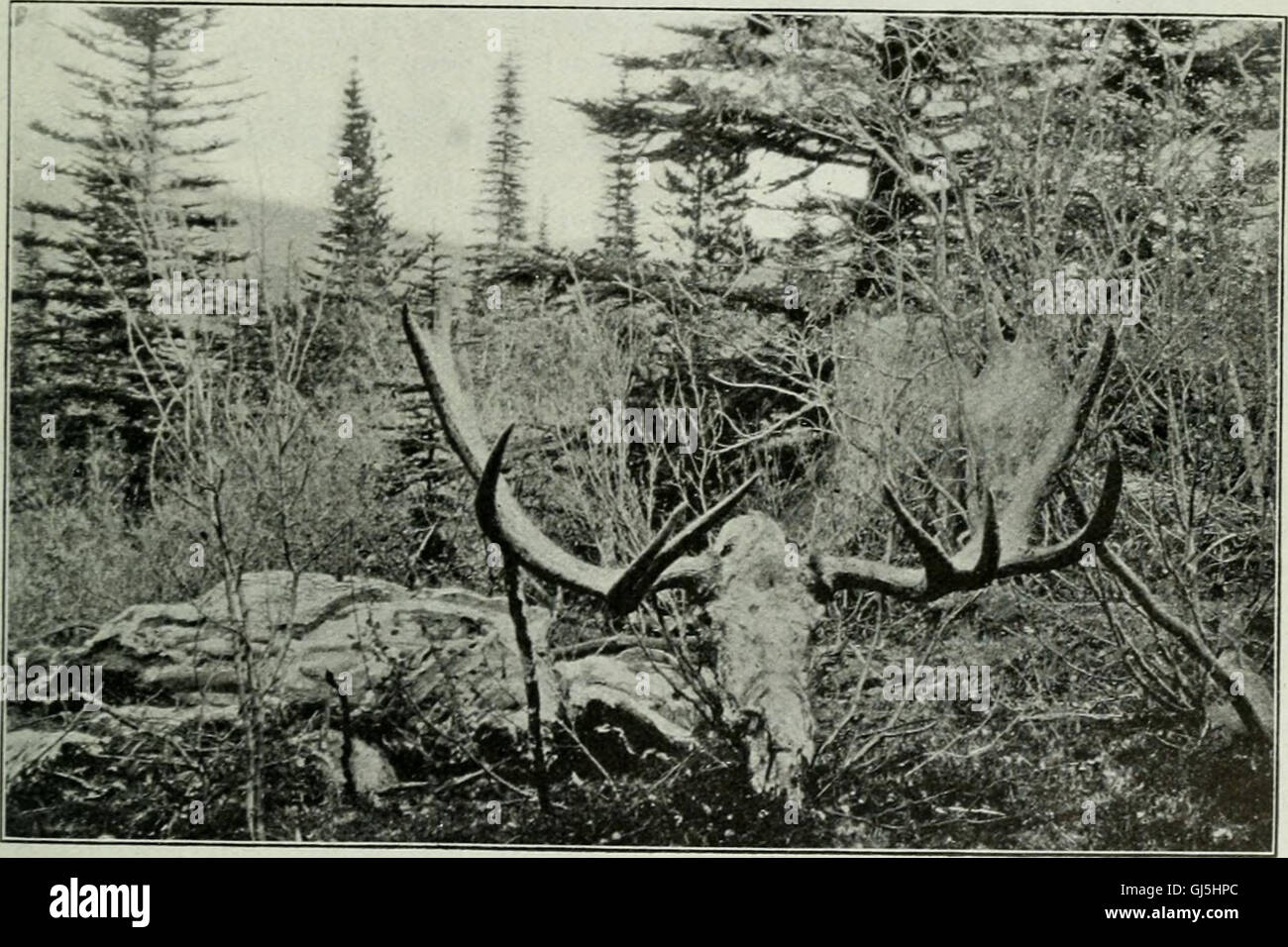 This 1898 publication focuses on outdoor activities like fishing and ...