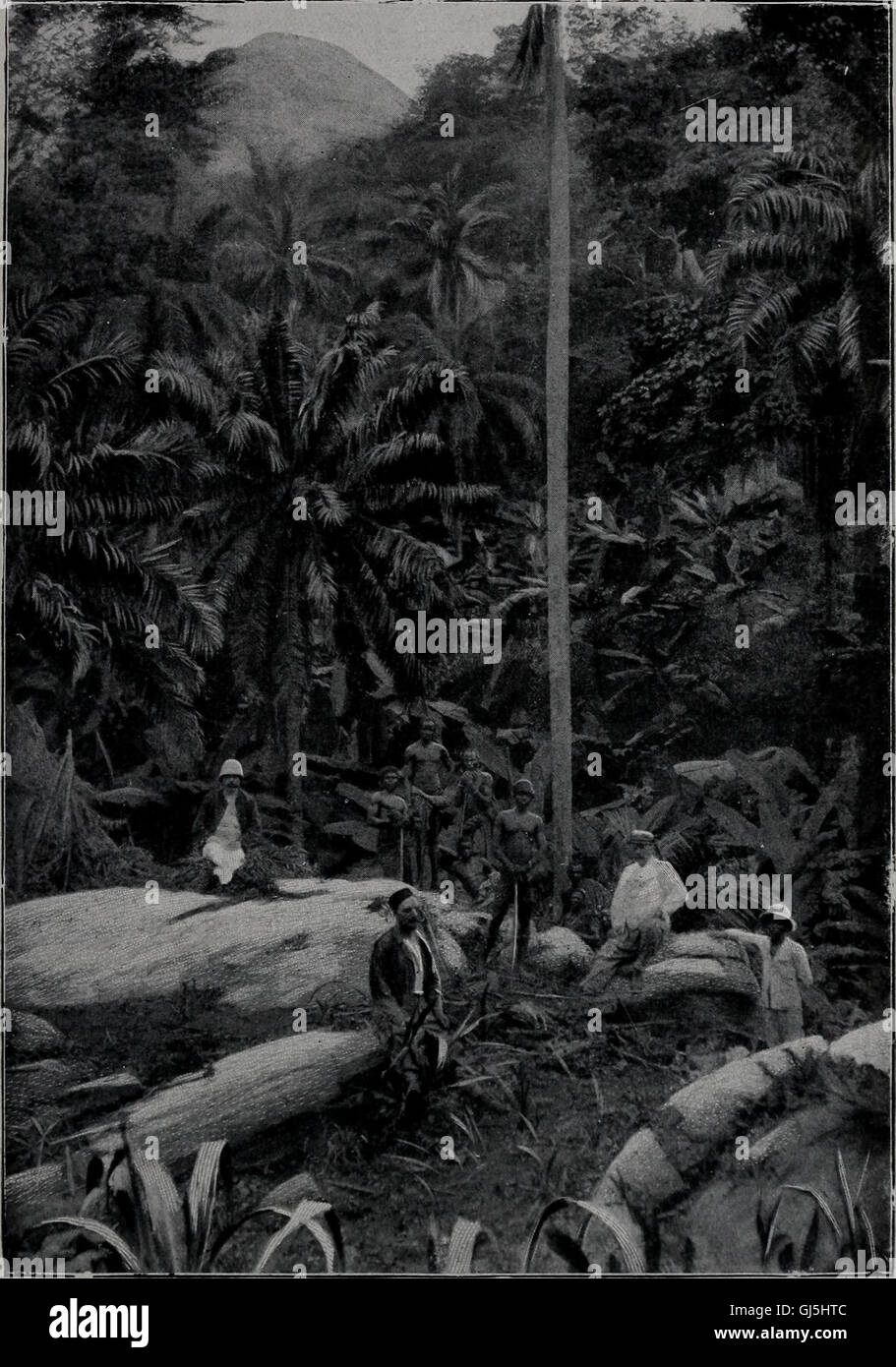 This 1905 volume continues its exploration of French colonialism ...