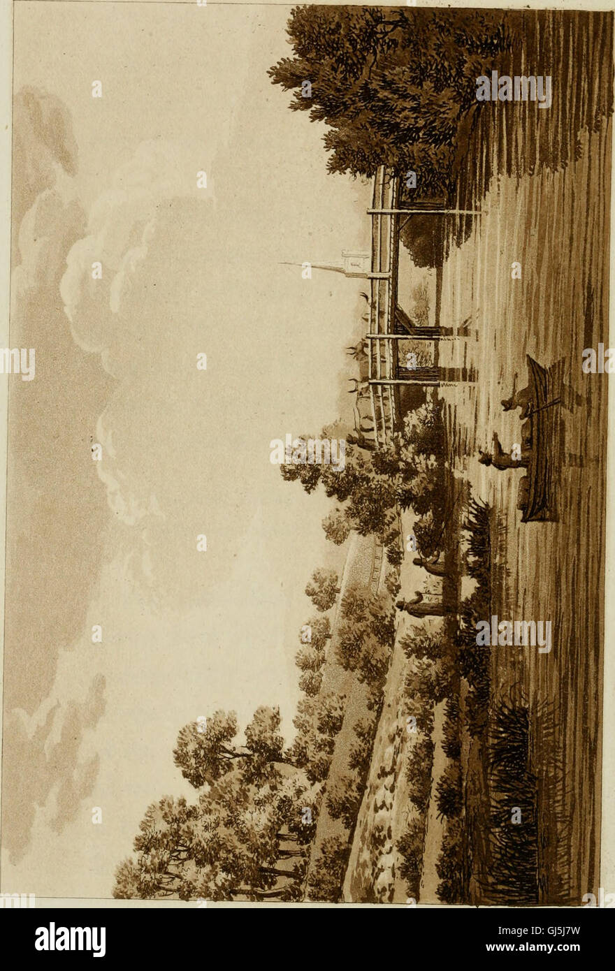 Map of river medway hi-res stock photography and images - Alamy