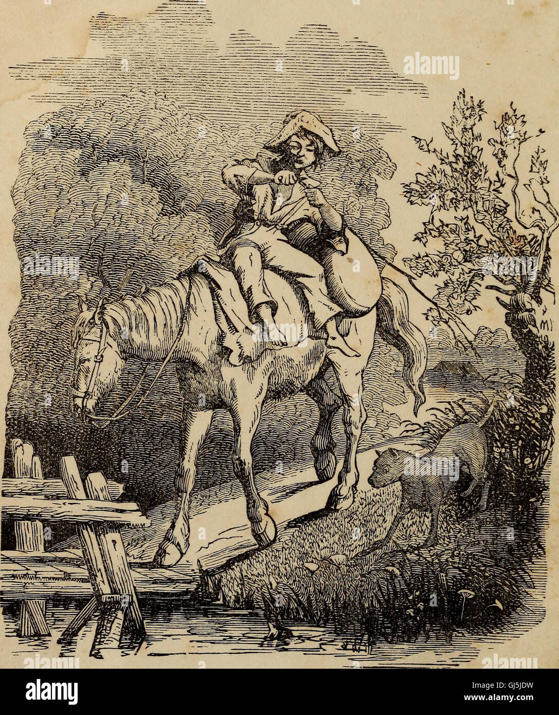 A 1852 biography of Henry Clay, detailing his life as a statesman and ...