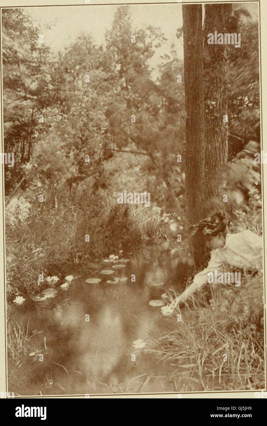 This 1920 poetry collection reflects on life in rural and coastal ...