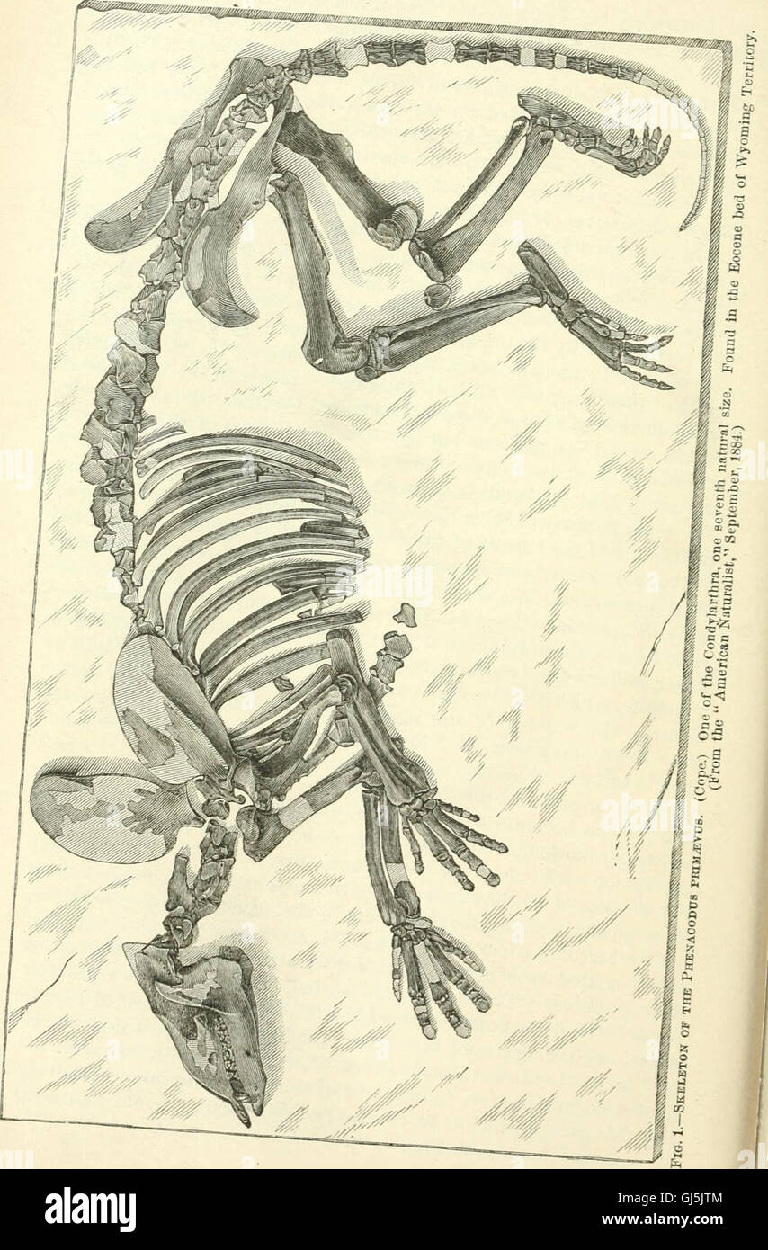 *Popular Science Monthly* (1872) was a leading American magazine that ...