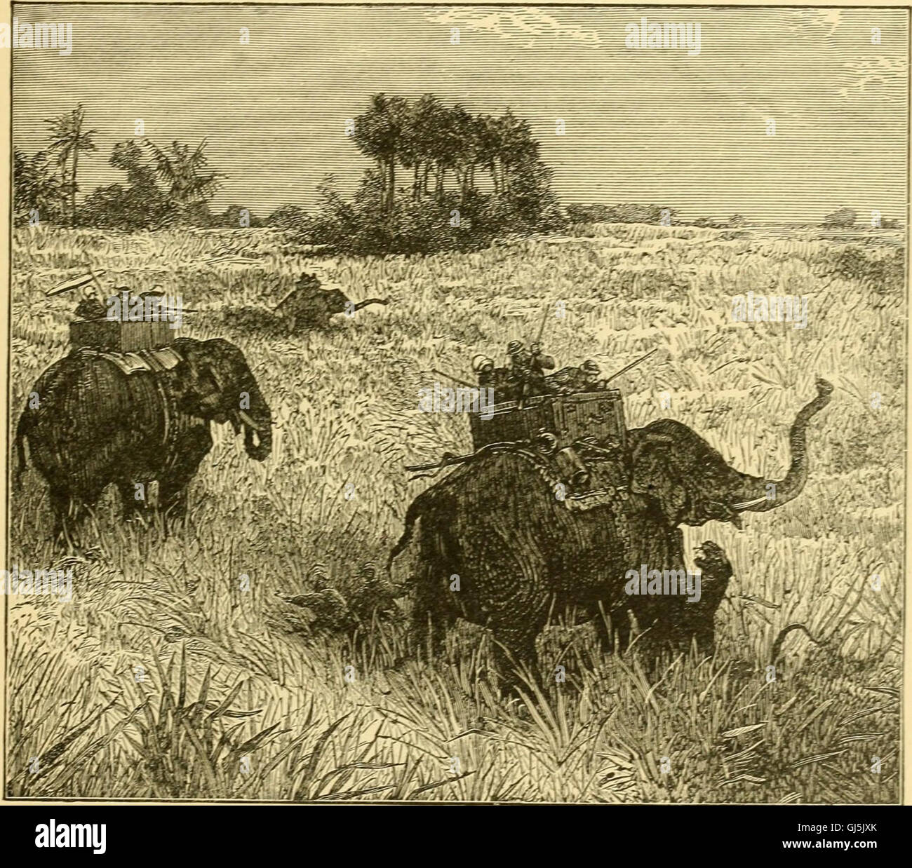 This 1903 book features hunting and trapping tales designed for young ...