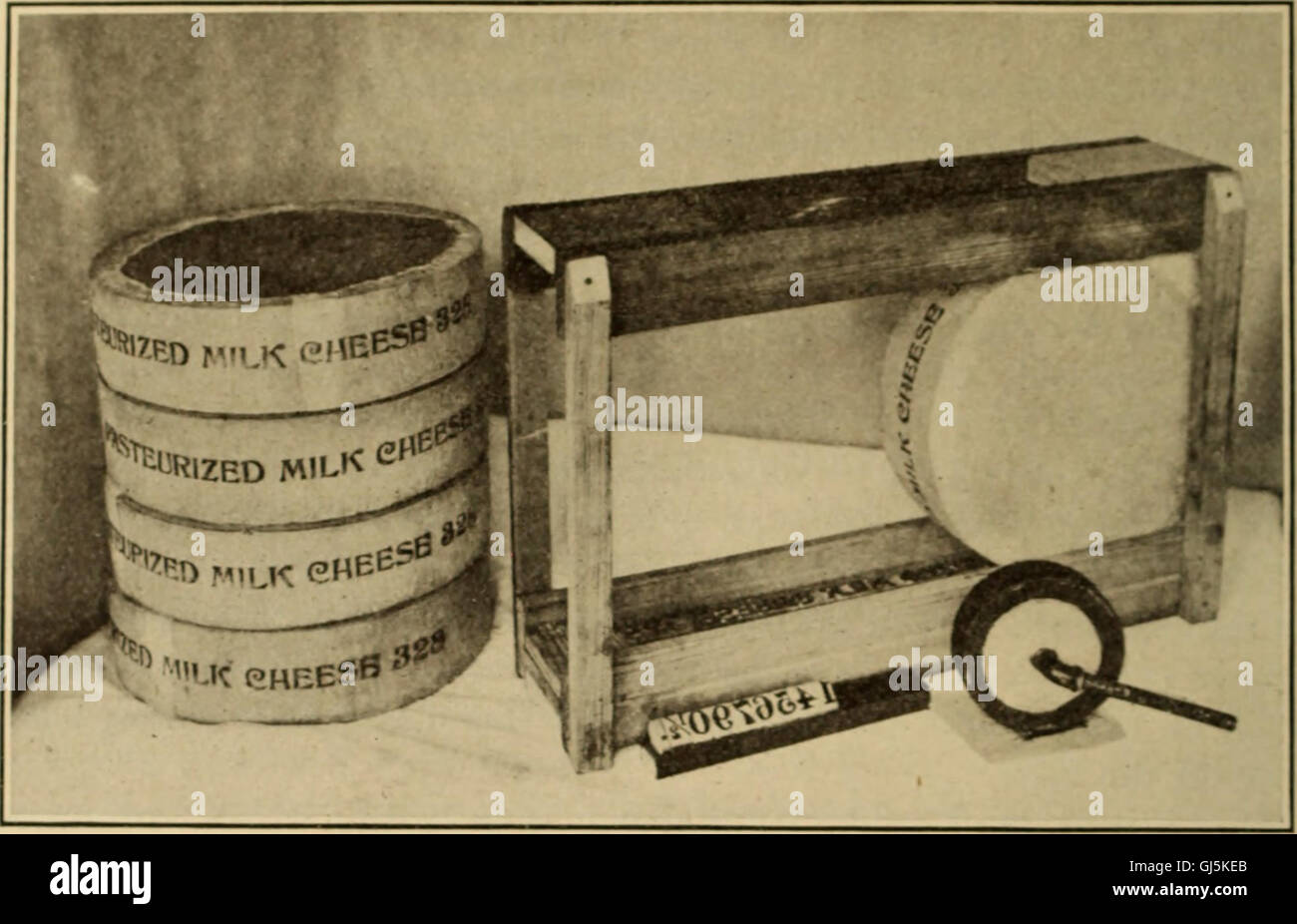 This work focuses on the process of making cheddar cheese from ...