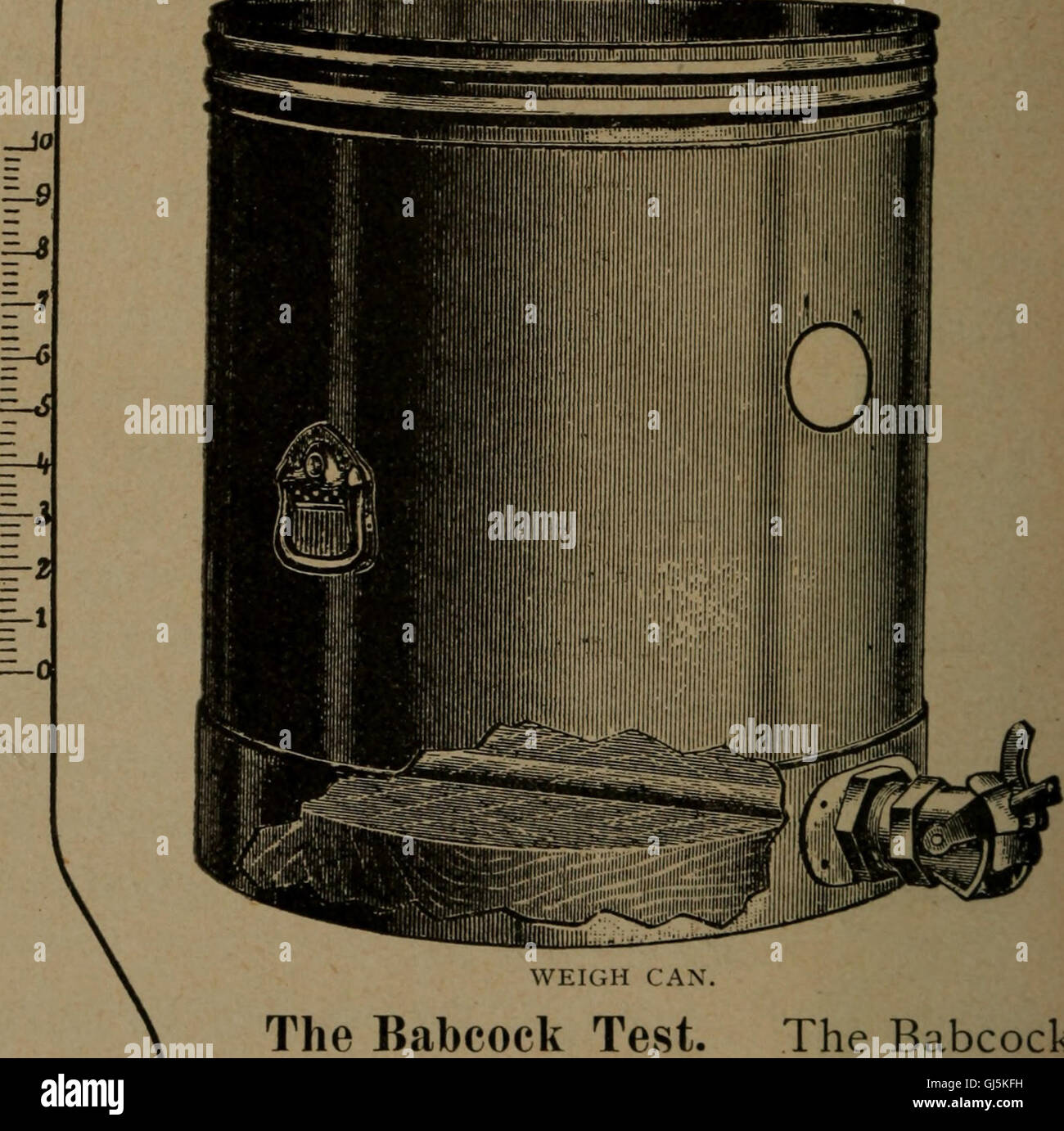 This 1895 work focuses on the traditional methods of cheddar cheese ...