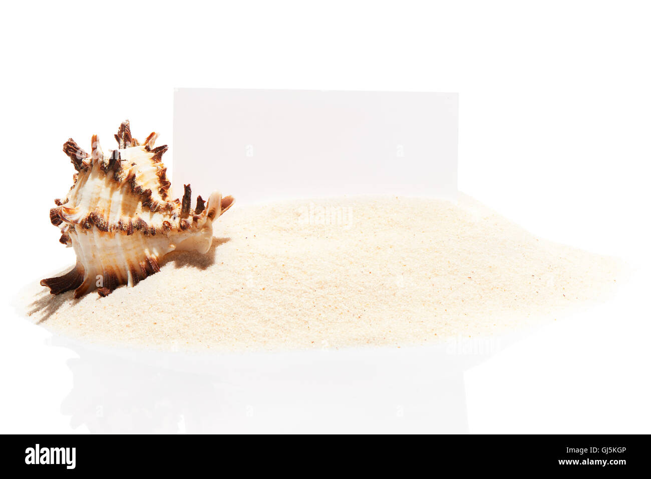 Blank white visit card with sea shell on pile of beach sand, isolated ...