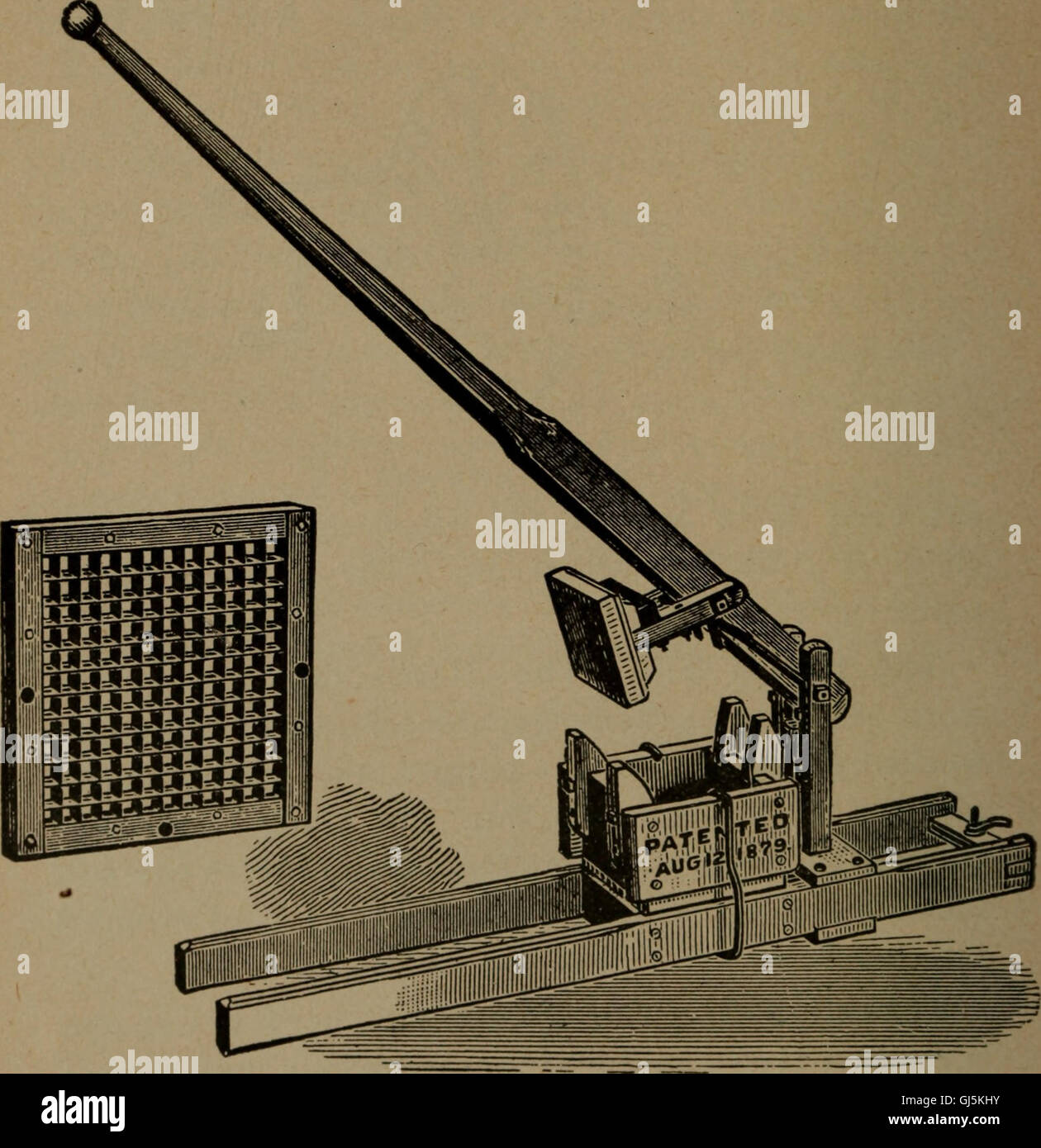 An image from 'Cheddar Cheese Making' (1895), illustrating the process ...