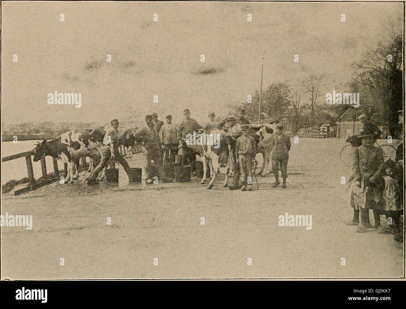 A 1909 guide detailing the process of cheese making, covering methods ...