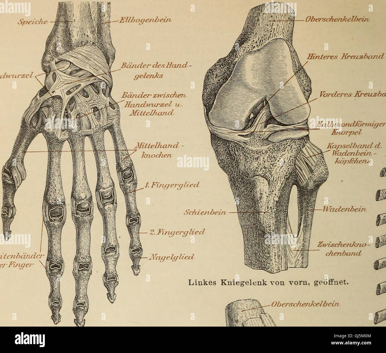The 1890 edition of Meyer's Konversations-Lexikon is a German ...