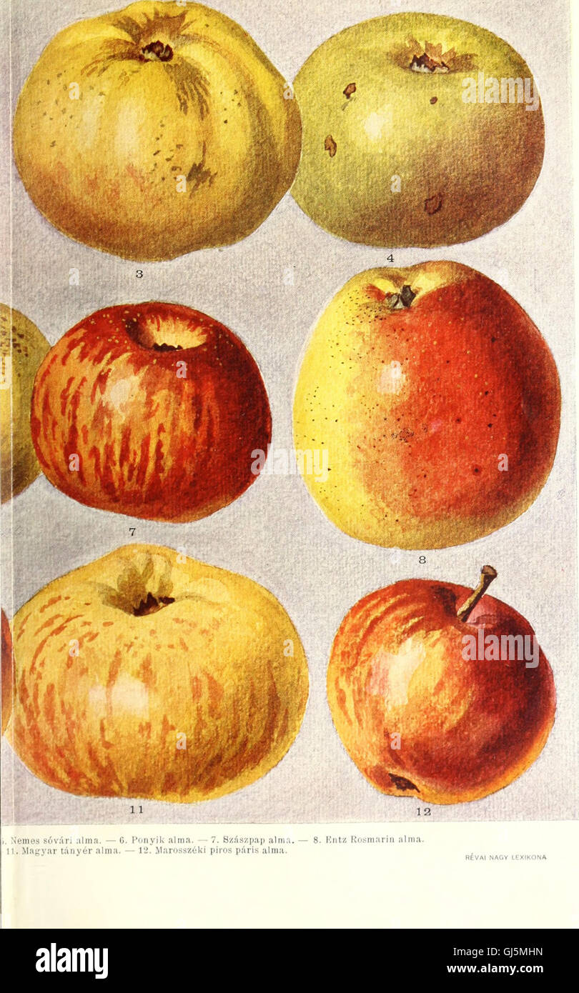 The 'Révai Nagy Lexikona' (1911) is a Hungarian encyclopedia that ...