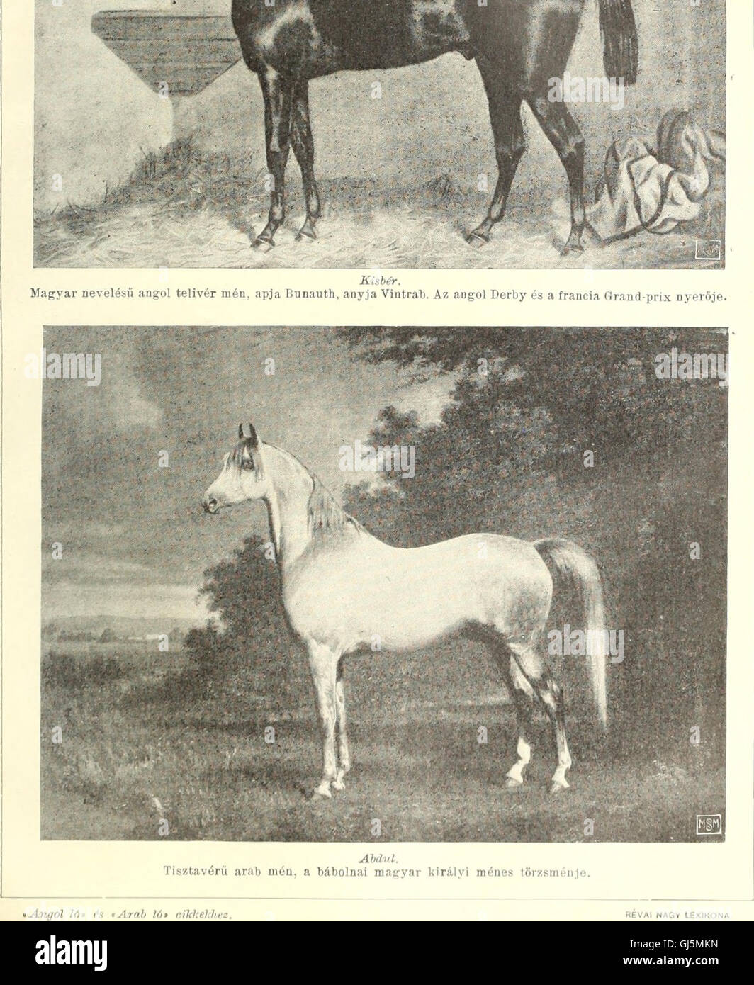 The 'Rvai nagy lexikona' (1911) is an encyclopedic reference work that ...