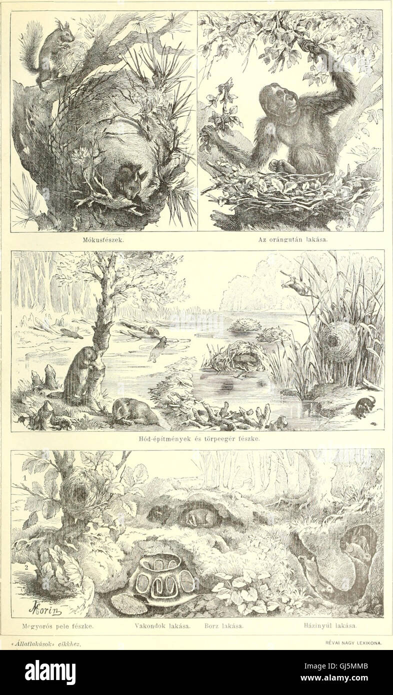 Published in 1911, *Révai nagy lexikona* is a Hungarian encyclopedic ...