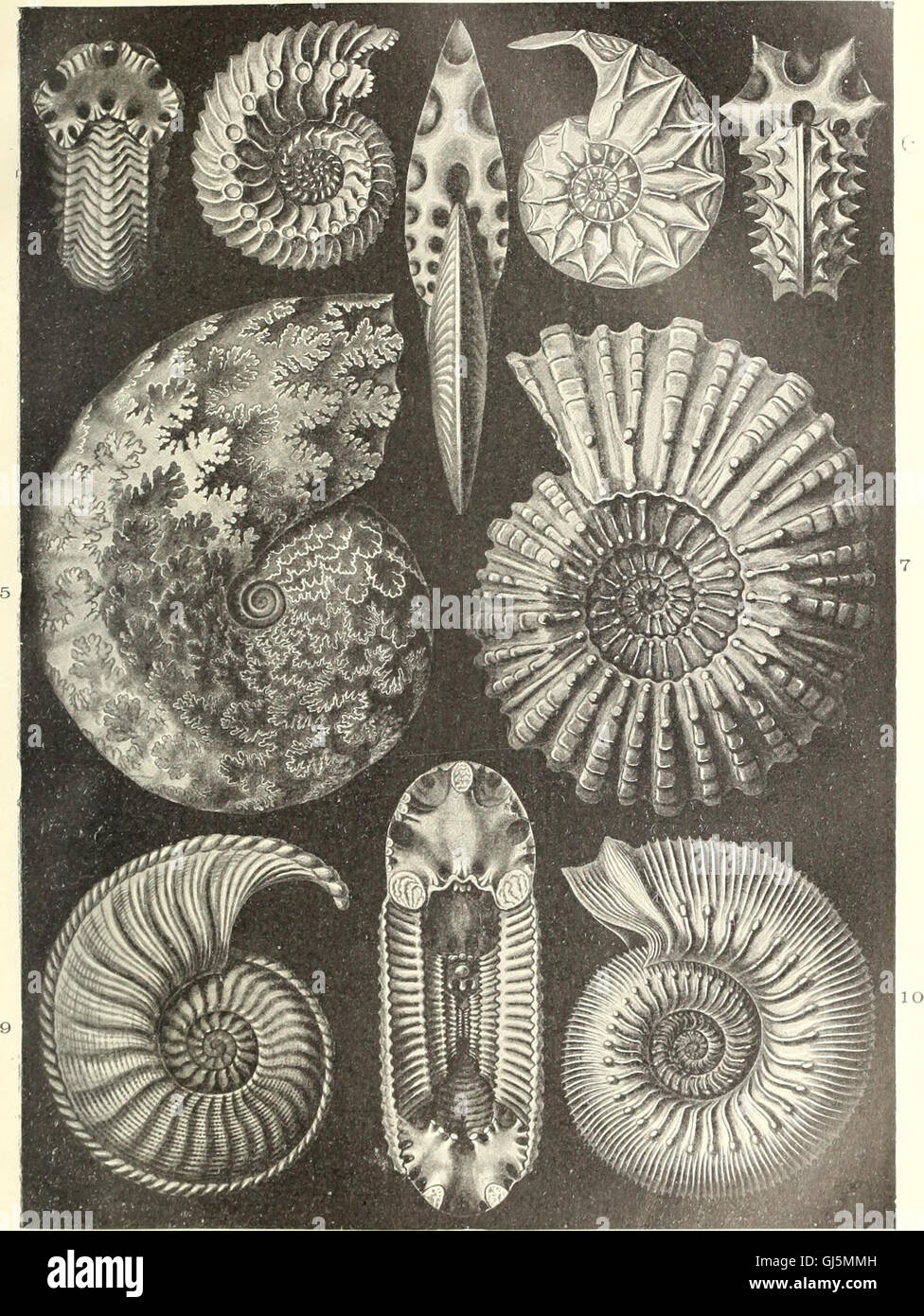 'Rávai Nagy Lexikona', a Hungarian encyclopedic work published in 1911 ...