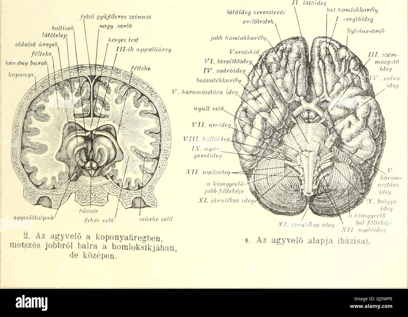 Ravai Nagy Lexikona, published in 1911, is a Hungarian encyclopedia ...