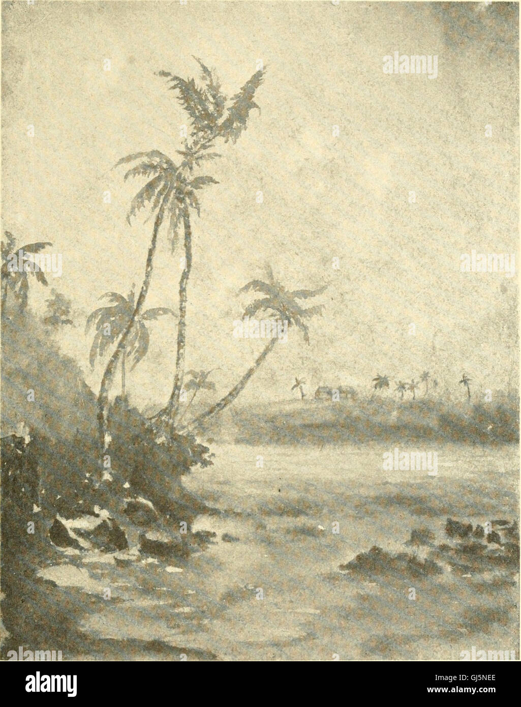 'Puerto Rican and Other Impressions' (1903) offers a collection of ...