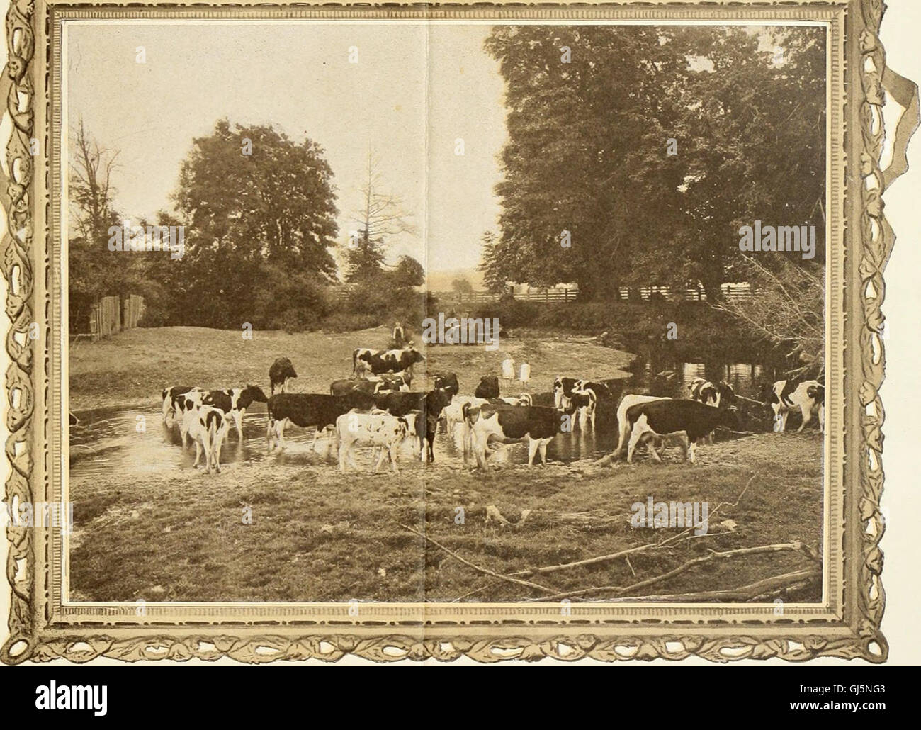 *Impressions of Victoria, British Columbia, Canada* (1907) offers a ...