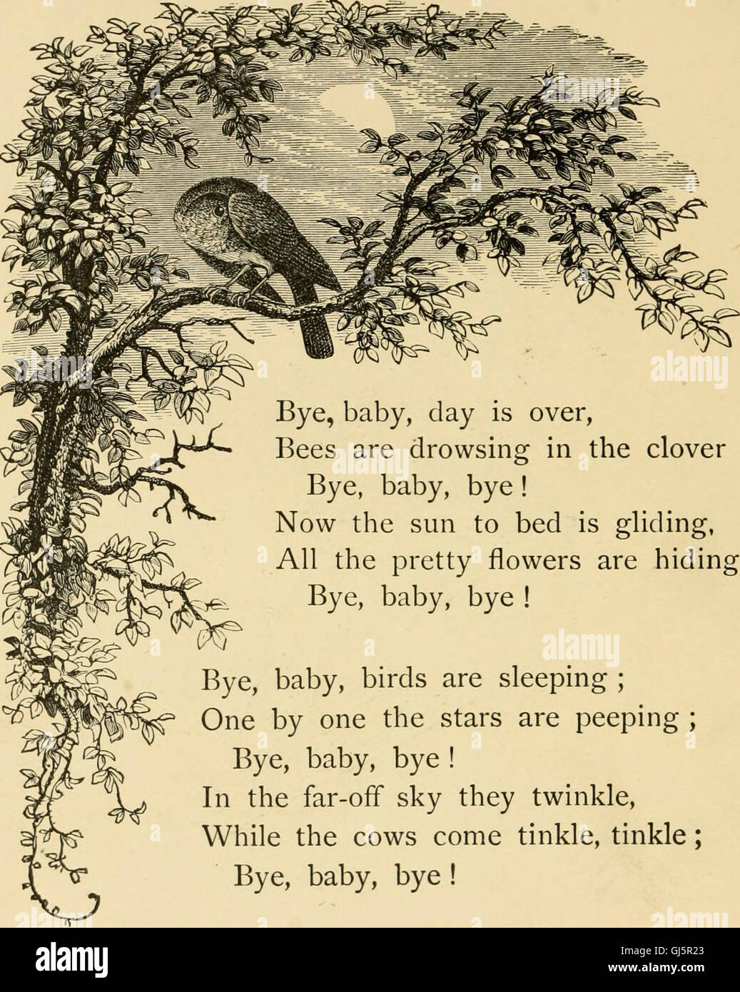 A collection of light, playful poems and jingles from 1903, showcasing ...