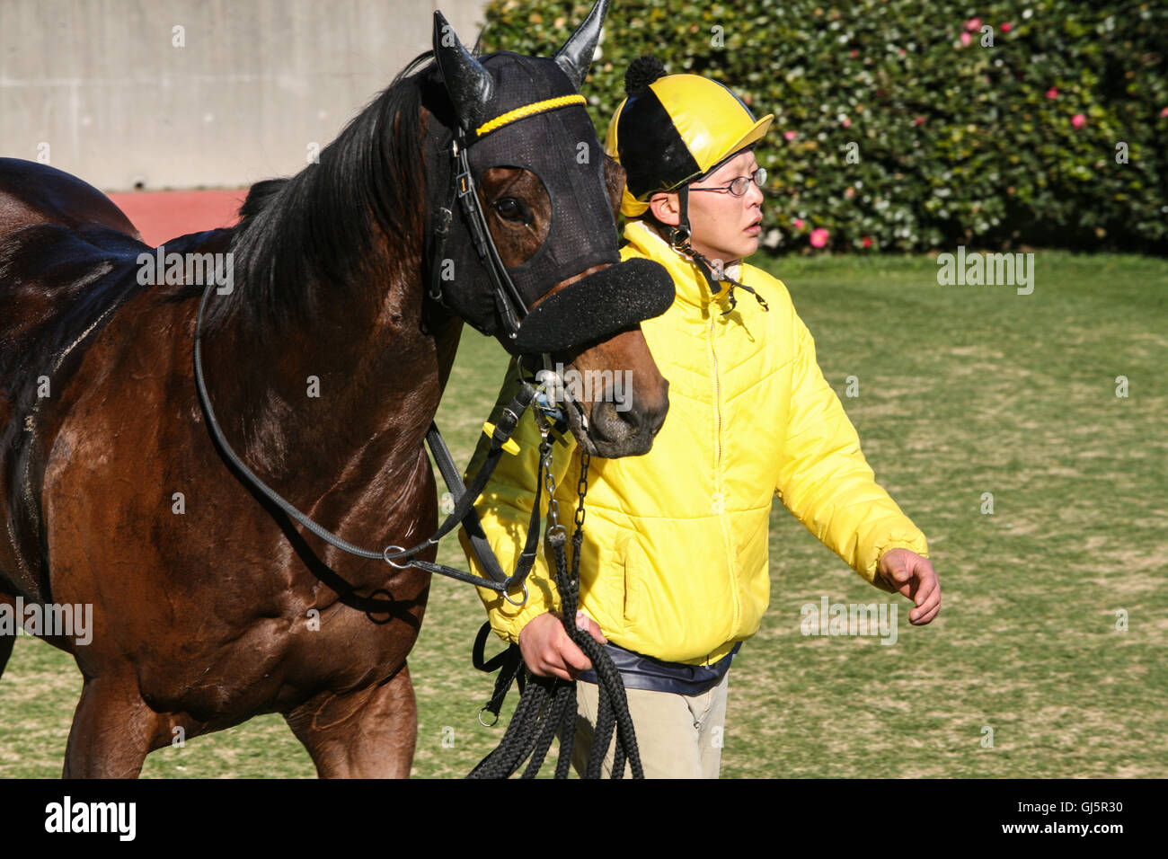 American jockey club races hi-res stock photography and images - Alamy