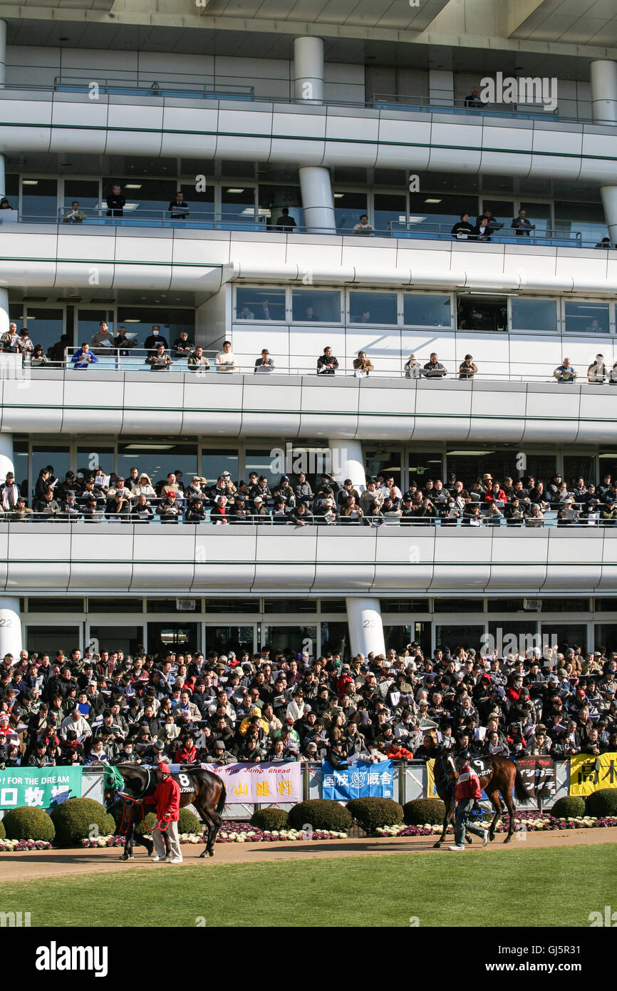 Nakayama racecourse hi-res stock photography and images - Alamy