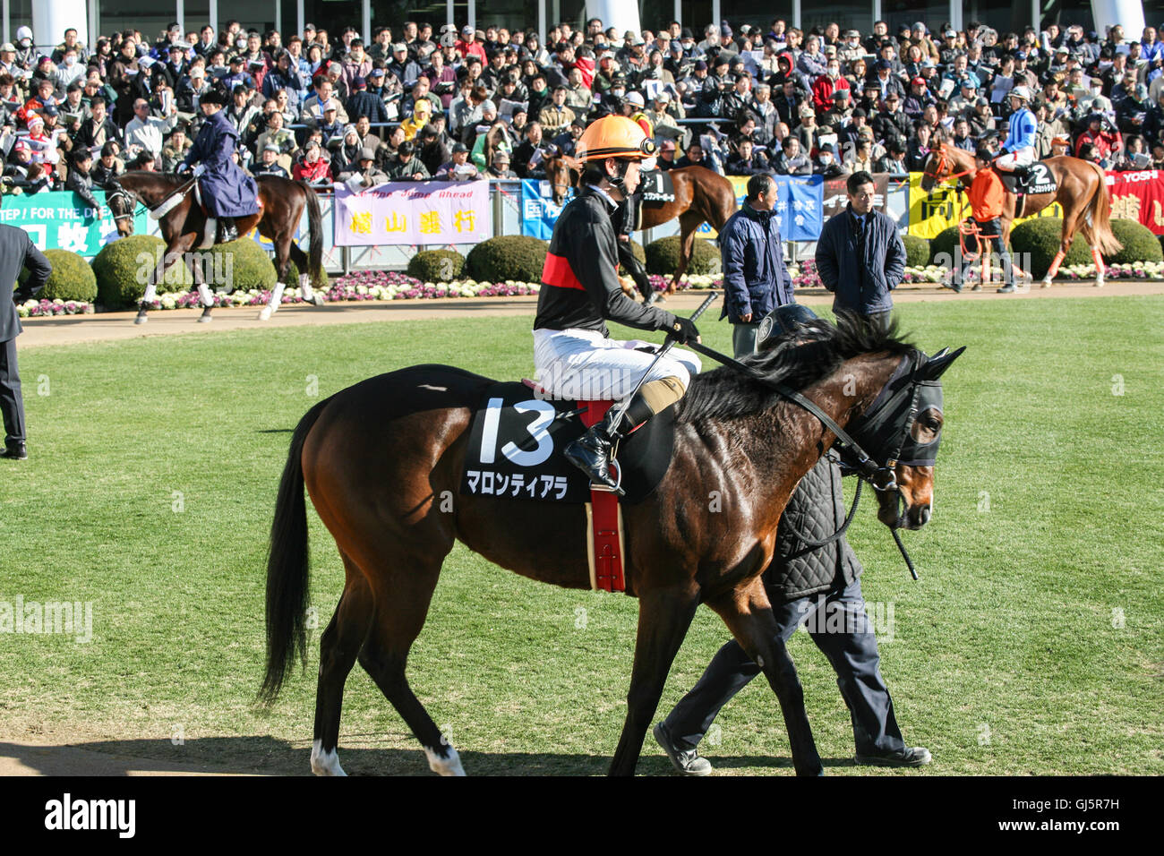 Horse parade prior to race 9 at Nakayama Racecourse. Here number 13 ...