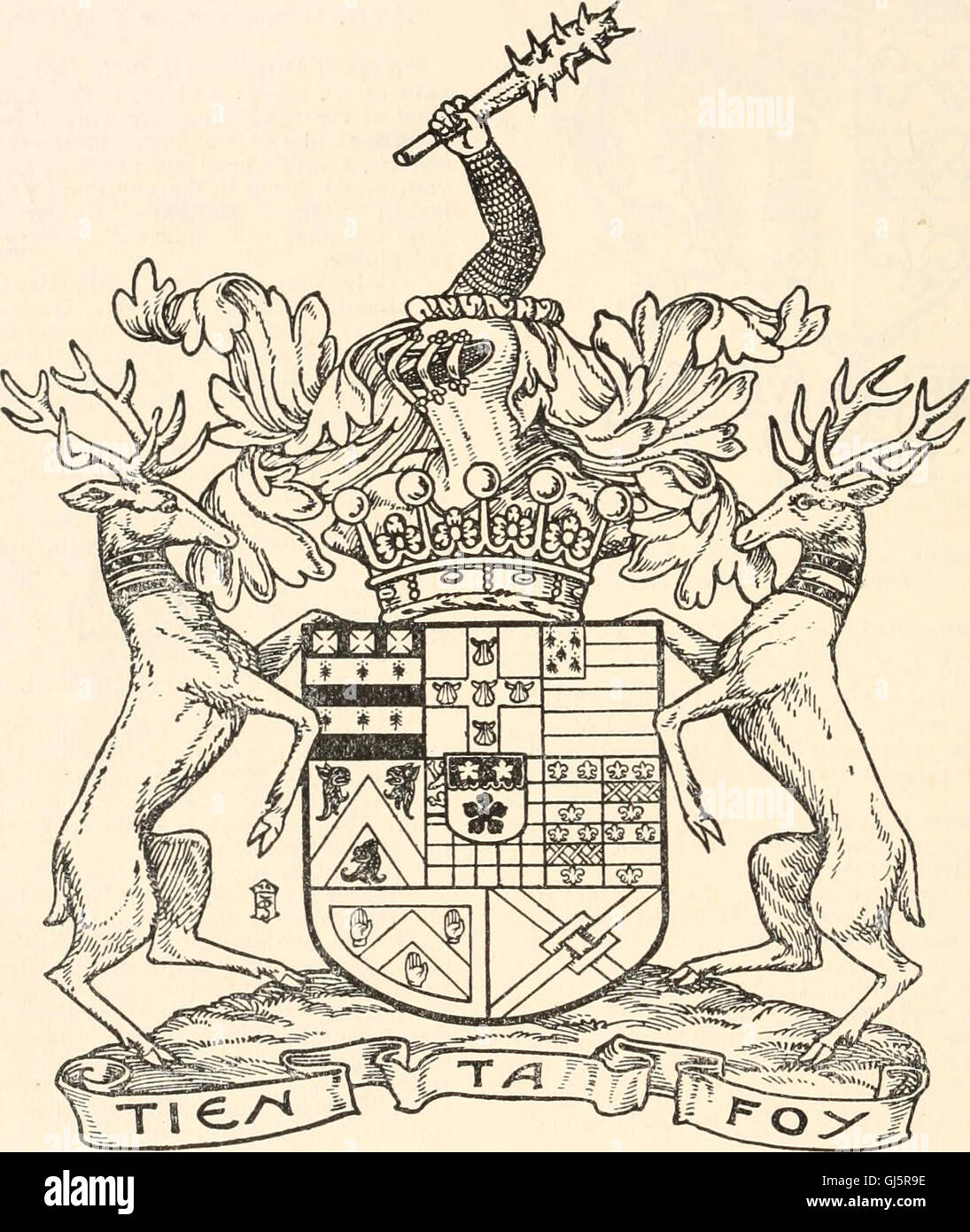 Armorial families directory gentlemen coat armour hi-res stock ...