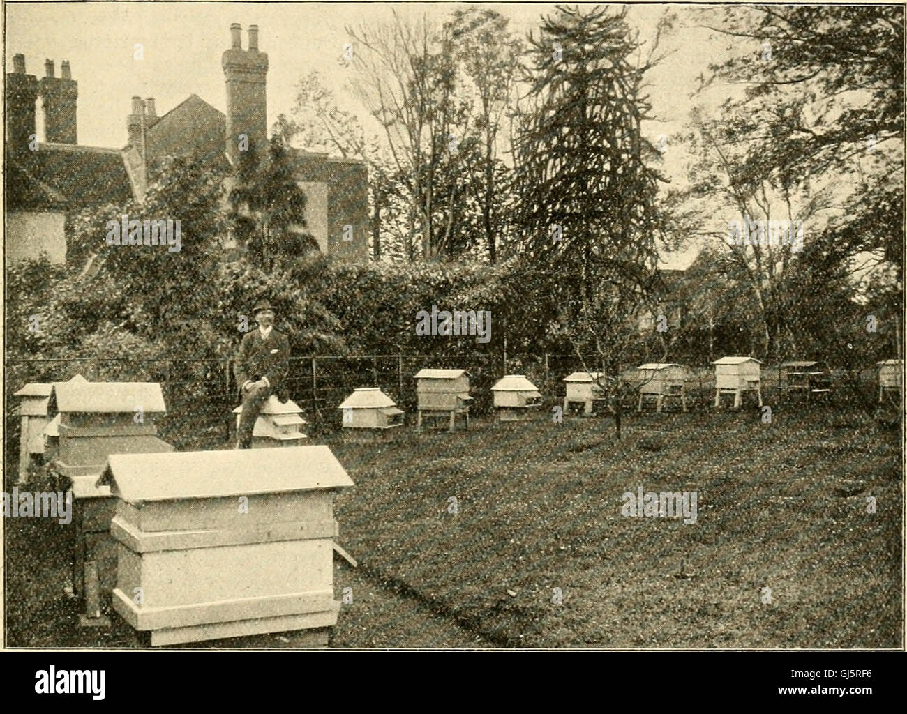The British Bee Journal, published in 1911, is a comprehensive resource ...