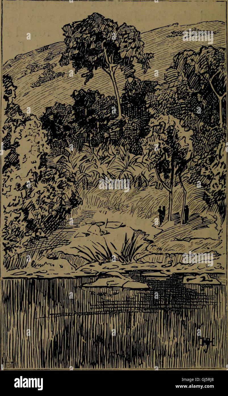 'The River Congo from its Mouth to Bâlobé' (1895) provides a ...