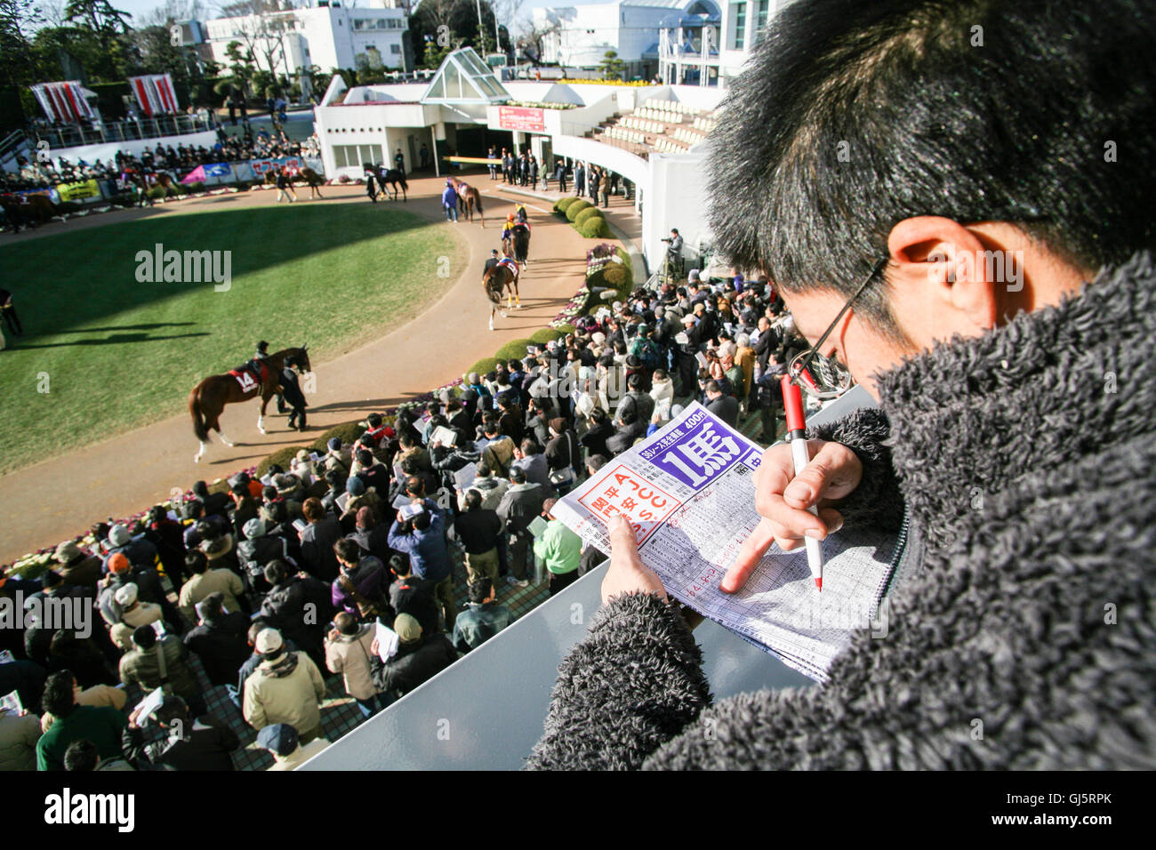 Punters checking the horses and their form at the parade ring for race ...