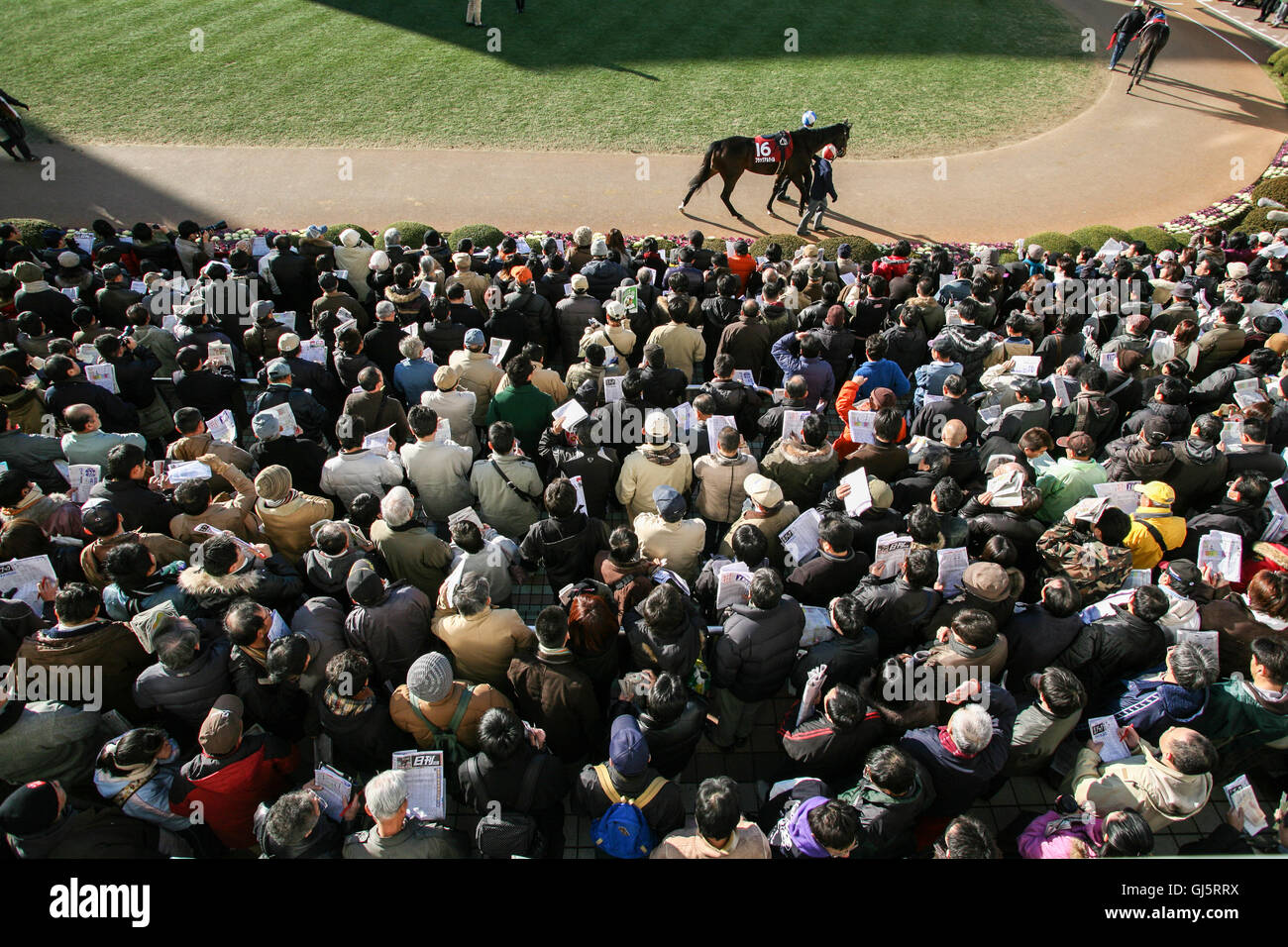 Punters checking the horses and their form at the parade ring for race ...