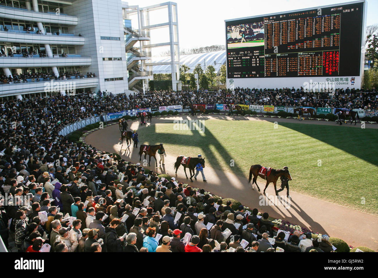Punters checking the horses and their form at the parade ring for race ...