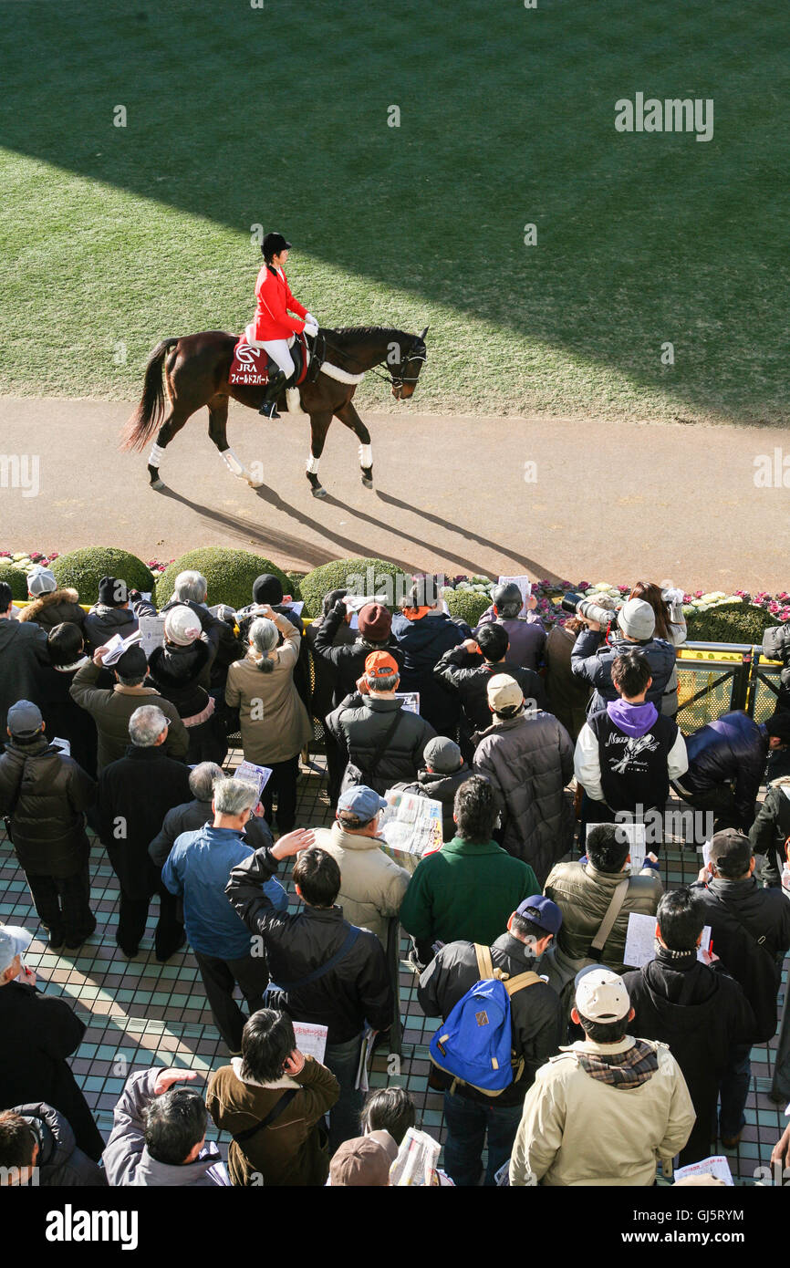 Punters checking the horses and their form at the parade ring for race ...