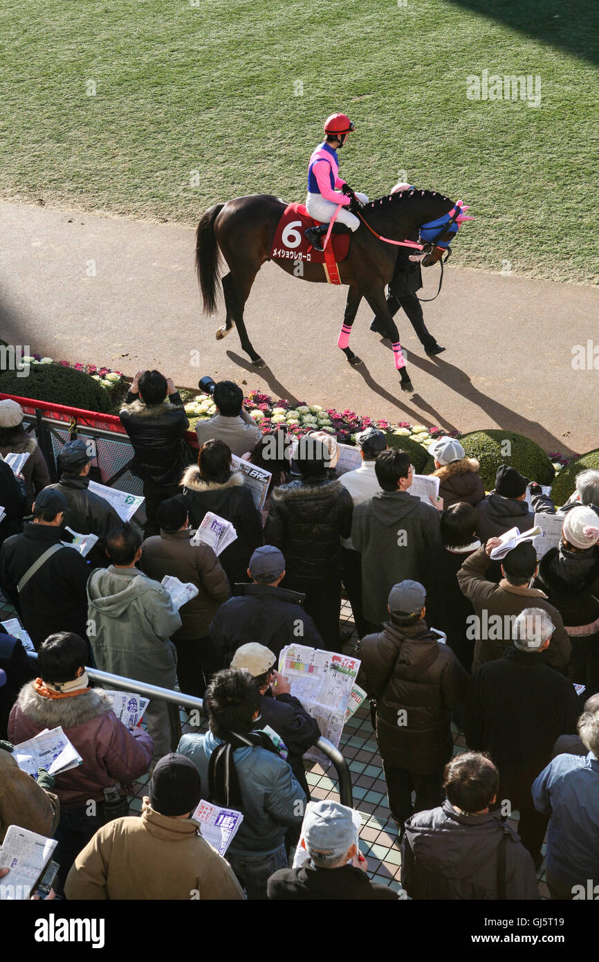 Punters checking the horses and their form at the parade ring for race ...