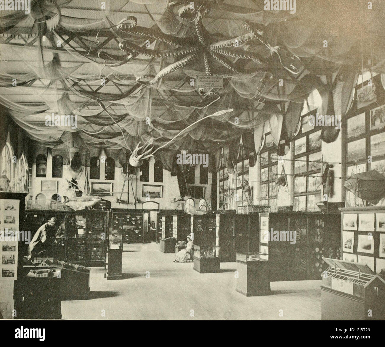 Map of united states 1960 hi-res stock photography and images - Alamy