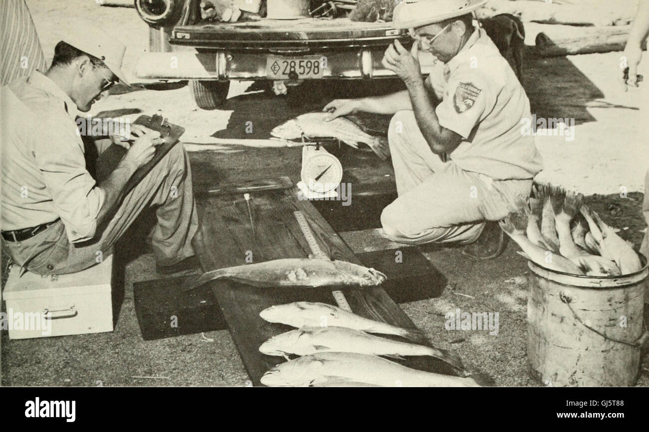 'California Fish and Game' covers the state’s wildlife and conservation ...