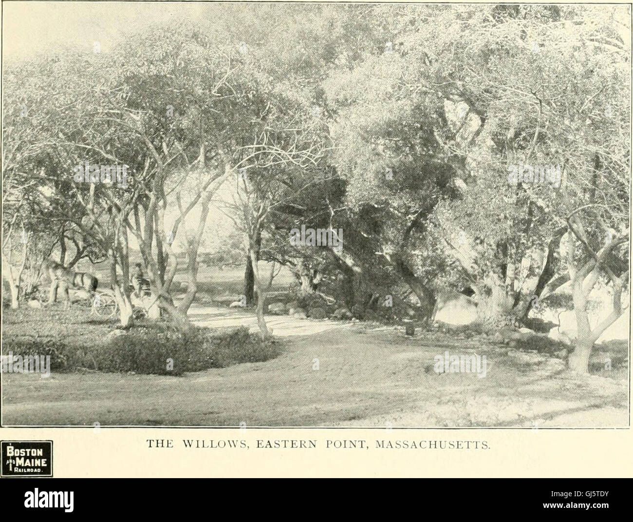 This 1900 publication offers a comprehensive guide to the seashores of ...