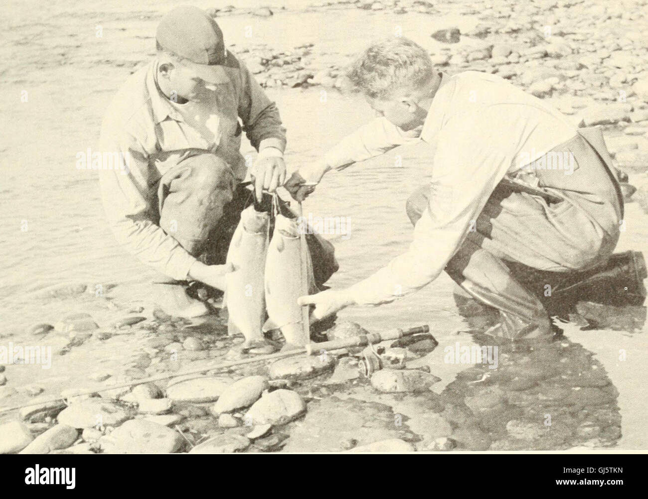 'California Fish and Game' is a journal documenting the state’s fish ...