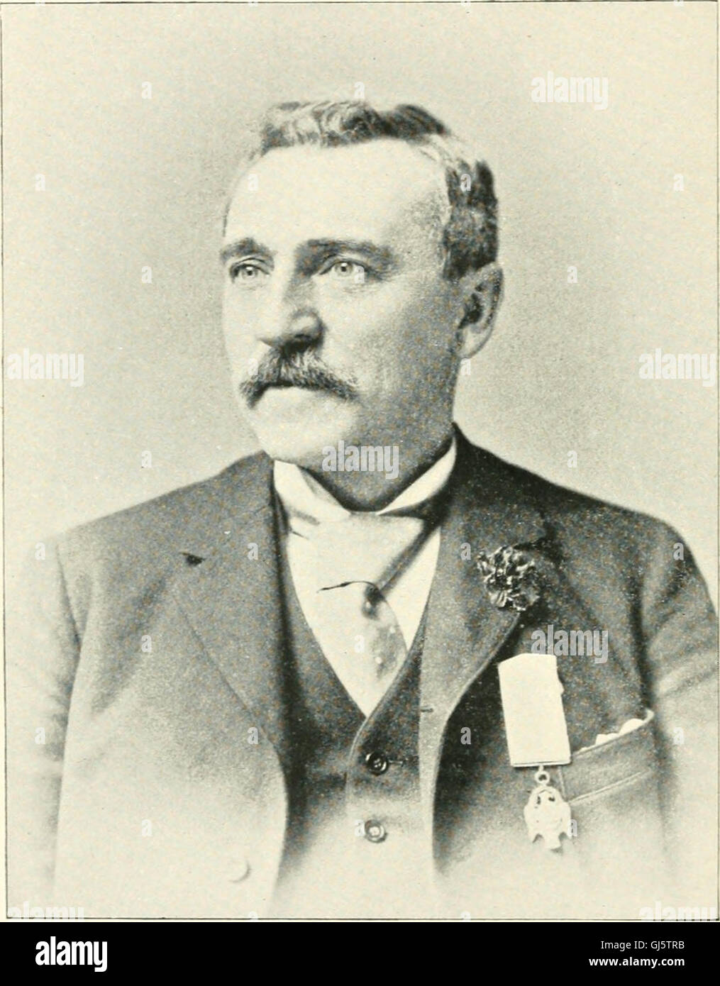 *Swedish Holsteins in America* (1644-1892) chronicles the history of ...