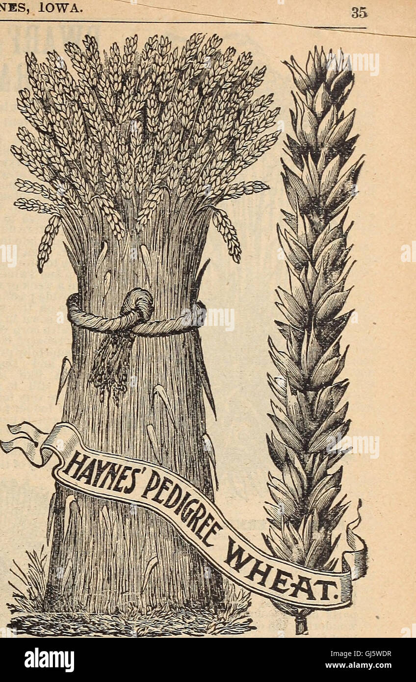 This catalogue, published in 1902, lists various products, services, or ...