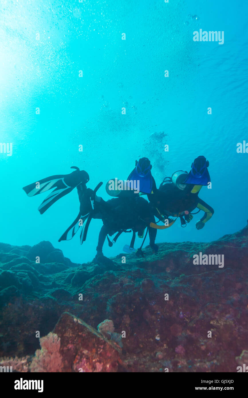 Group of divers going deep, Bali Stock Photo - Alamy