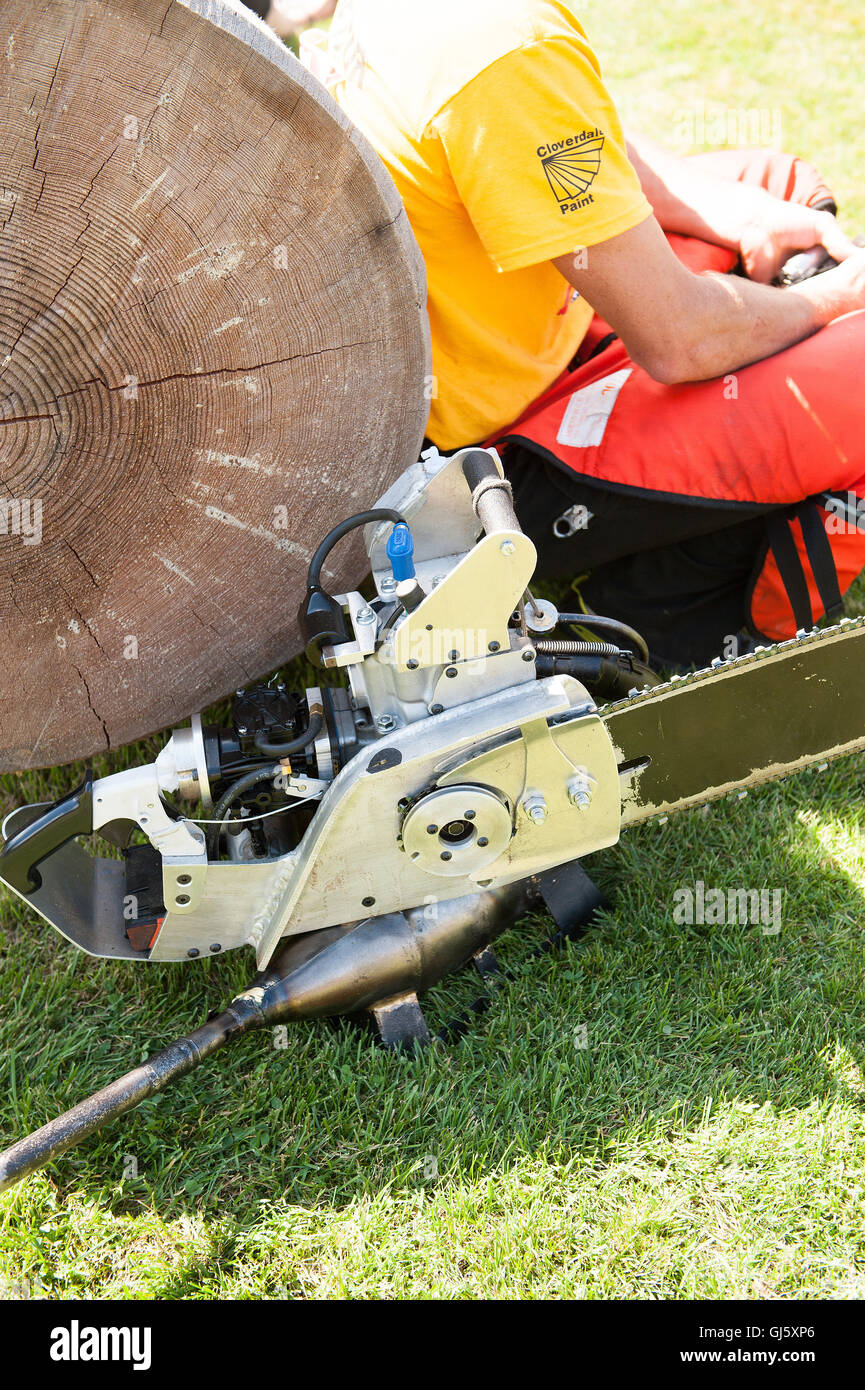Chainsaw competition logs hi-res stock photography and images - Alamy