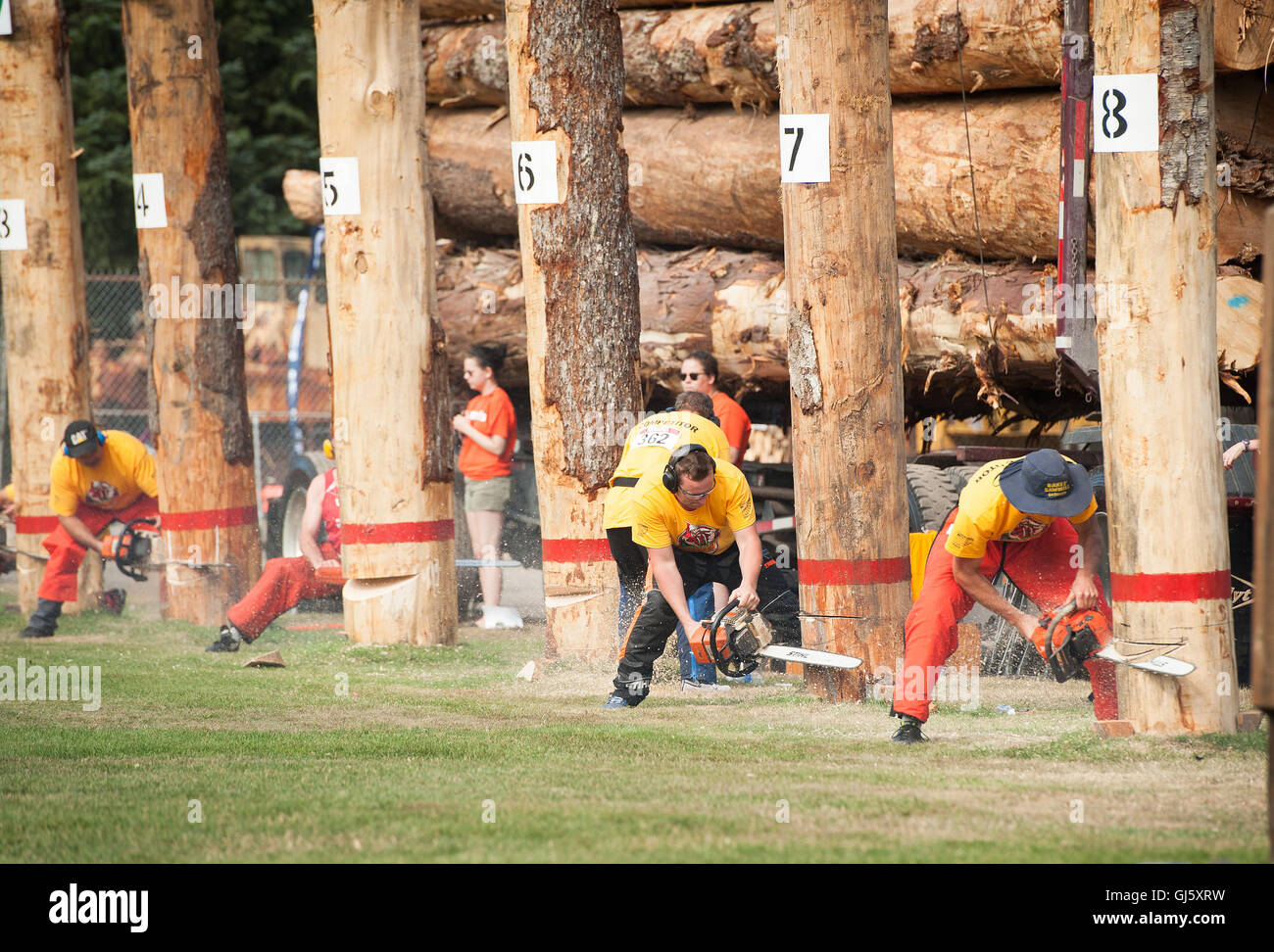 Competitors in for the open tree falling event. The Squamish Loggers ...