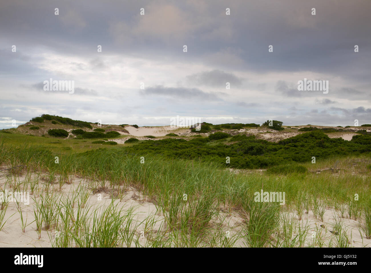 Sunset in the sand dunes beach on the Cape Cod National Seashore on the ...