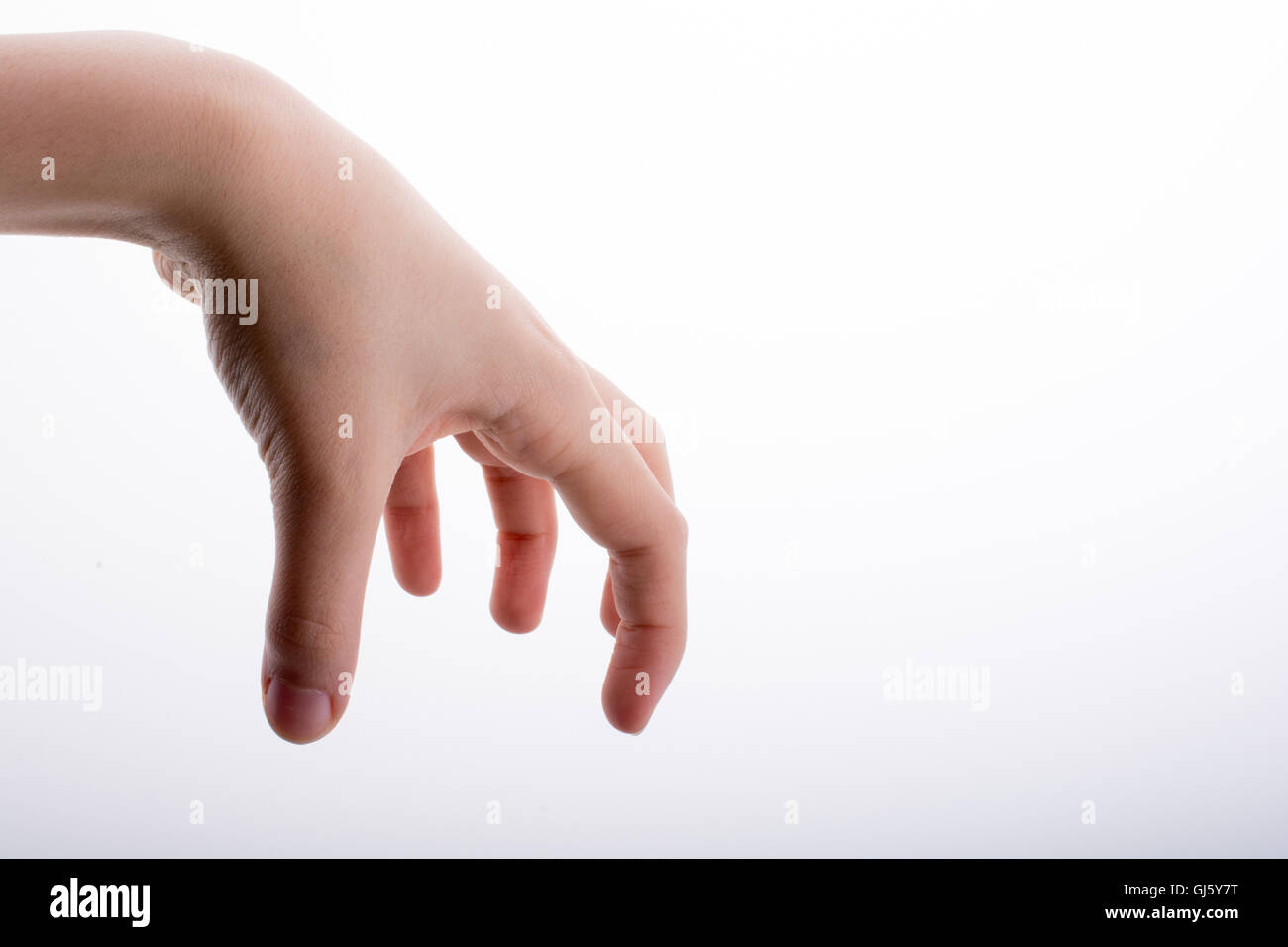 Hand holding on a white background Stock Photo - Alamy