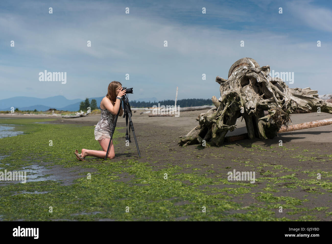 Student landscape photographer Stock Photo - Alamy